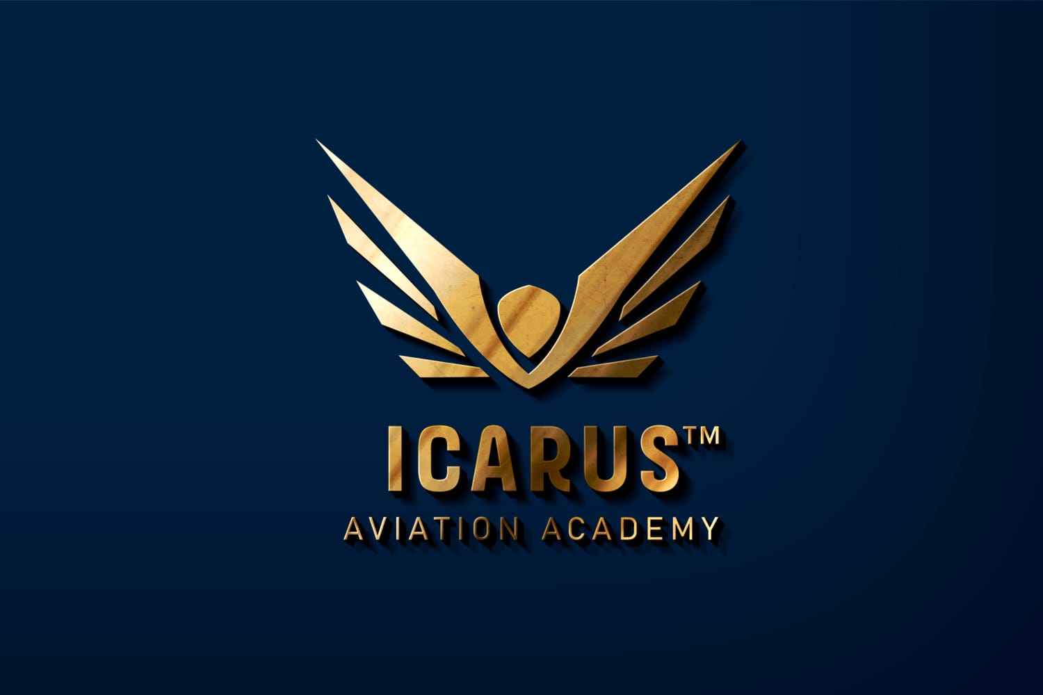 Icarus Aviation Academy in Kochi, Kerala | Aviation Courses